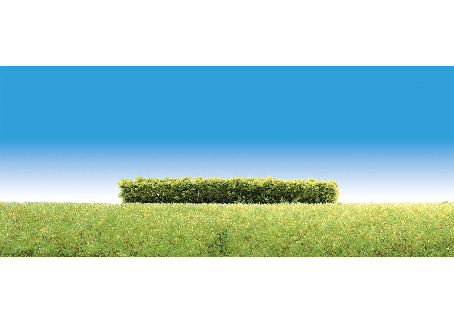 Faller 181398 H0 3 Hecken, hellgrün